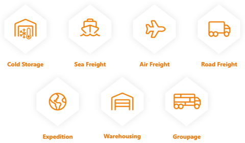 Boltrics 3PL Dynamics WMS | Quick Start Package & Pricing